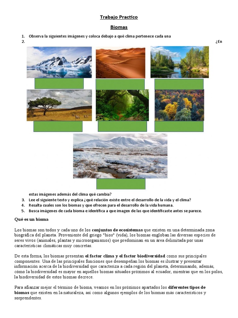 Hoja De Trabajo Sobre Los Biomas Del Mundo Biomas Para Primero De