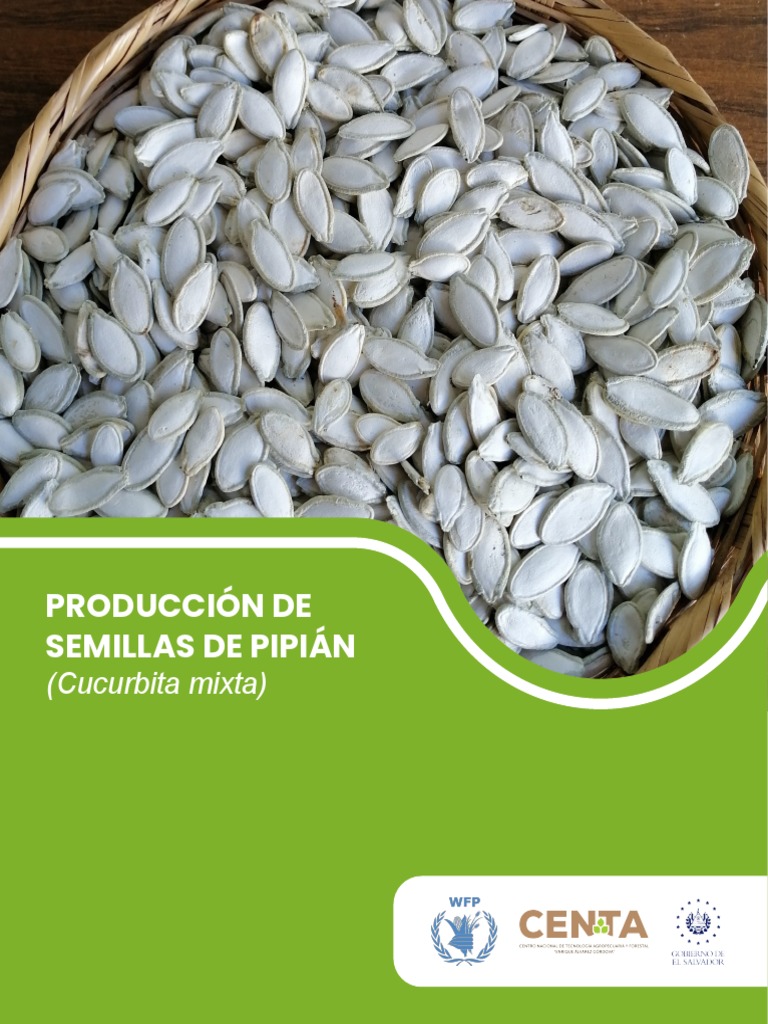 Produccion de Semilla de Pipian | PDF | Agricultura | Siembra