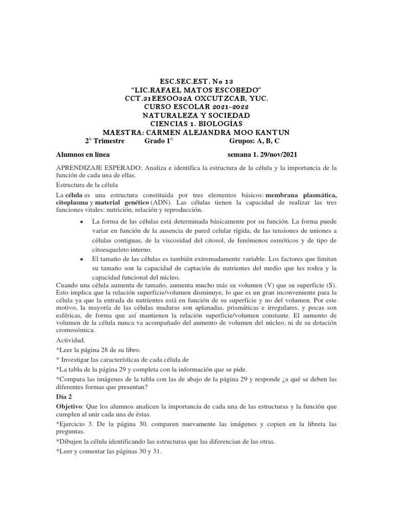 Estructura de la célula | PDF Estructura de la célula | PDF