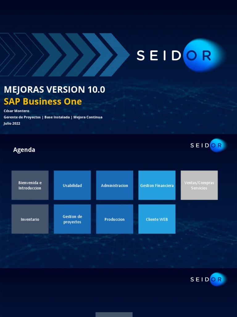 Mejoras SAP 10 | PDF