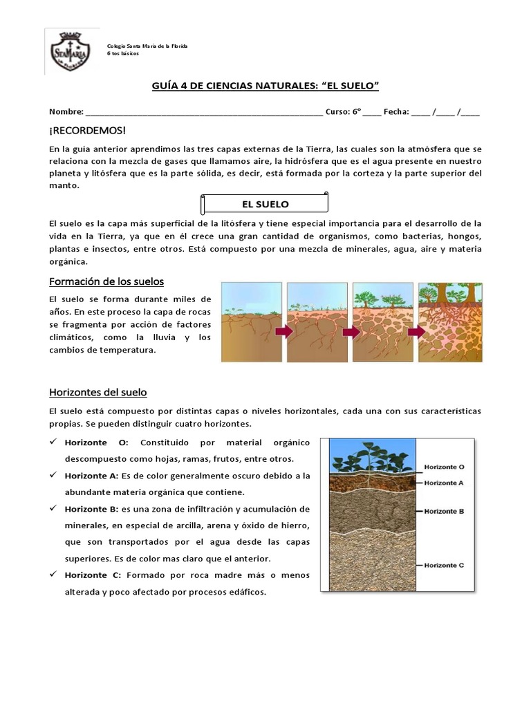 Guía de Ciencias Naturales: El Suelo | PDF | Suelo | Tierra