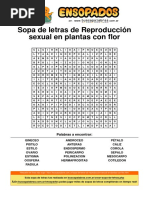 Sopa de Letras de Clases de Suelos | PDF
