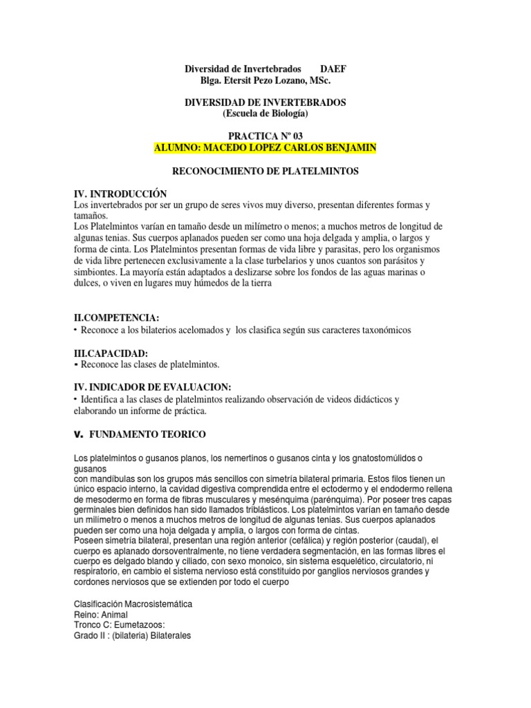 Practica N°3 | PDF | Biología | Protostomas