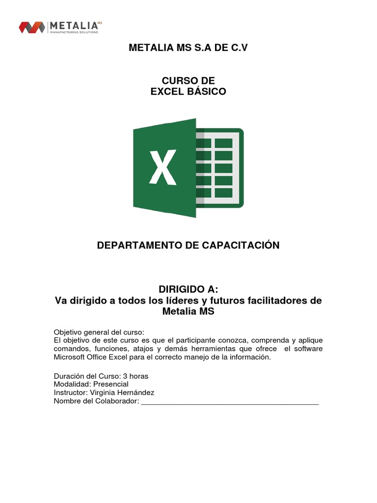 Manual Excel Básico | PDF