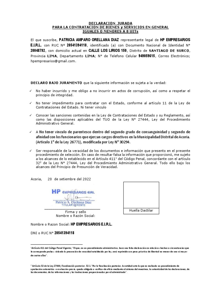 Declaracion Jurada Bienes y Servicios | PDF | Gobierno | Justicia