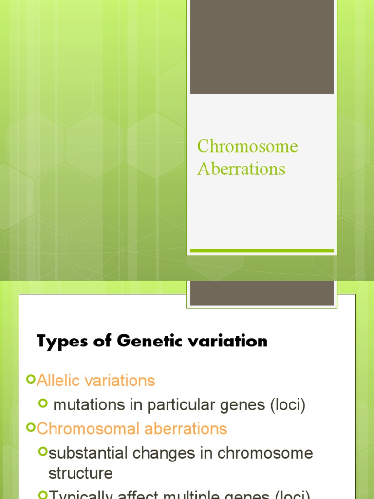 Chromosomal Aberrations Final | PDF | Ploidy | Meiosis