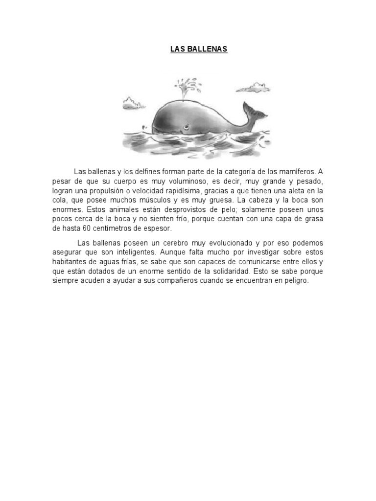 Las Ballenas: Mamíferos Inteligentes | PDF | Hogar, jardinería y bricolaje