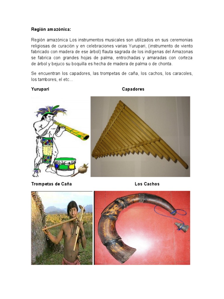 Instrumentos Musicales Región Amazónica | PDF