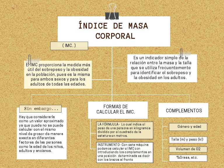 IMC - Mapa Conceptual | PDF