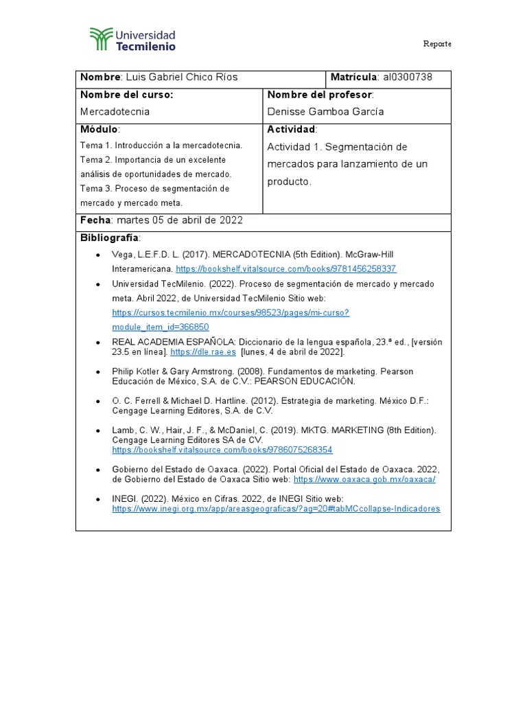 Segmentación De Mercados En Mercadotecnia Pdf Marketing Mercado