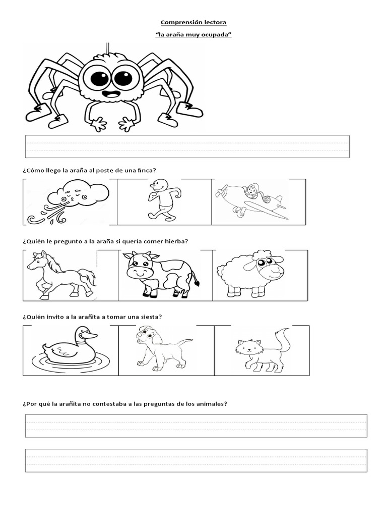 Comprension Lectora Araña | PDF