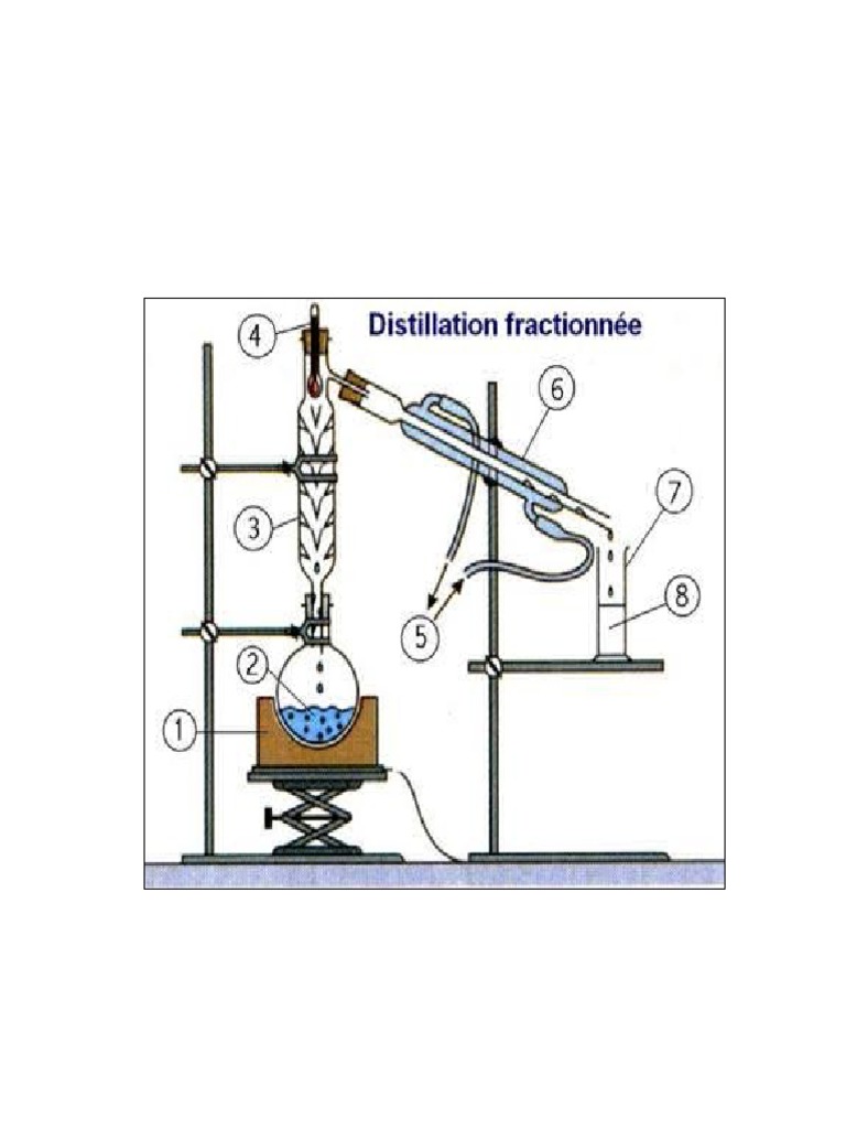 Montage Distillation | PDF