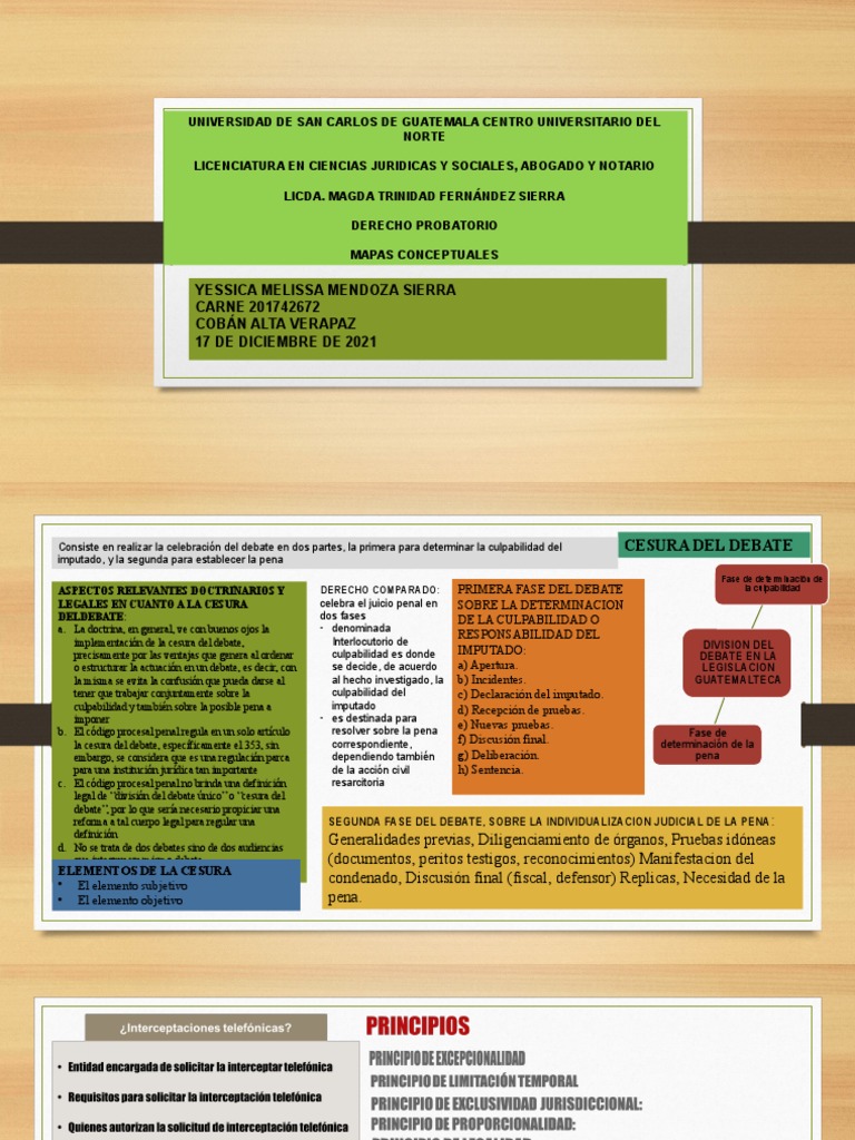 Esquemas 6,7,8,9 | PDF | Derecho penal | Ley procesal