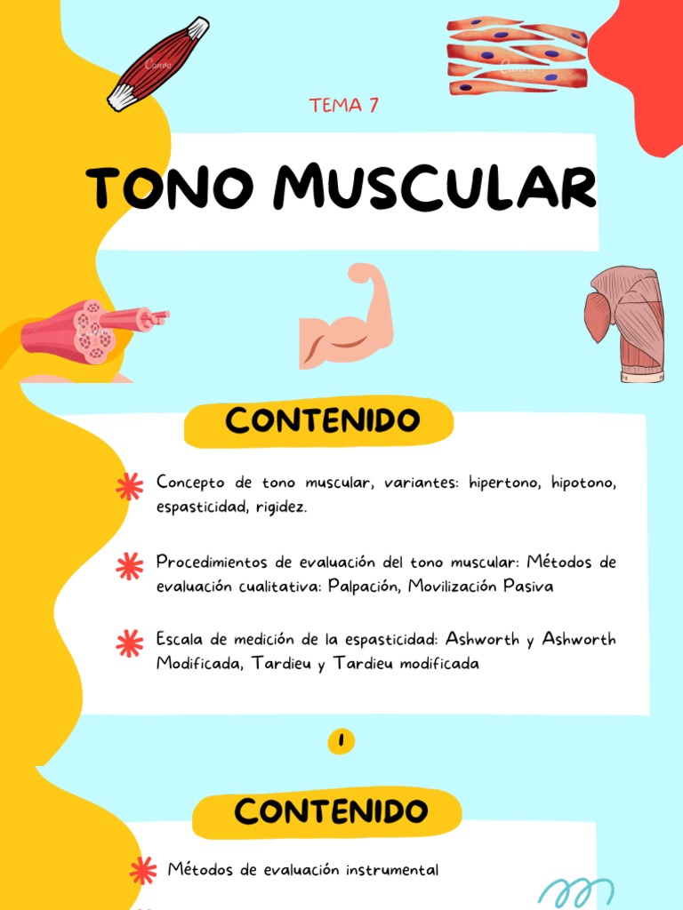 Evaluación del Tono Muscular en Adultos | PDF | Músculo esquelético ...