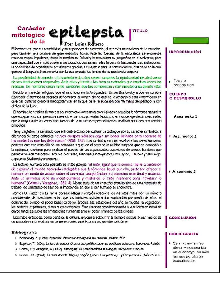 Ensayo de La Epilepsia | PDF