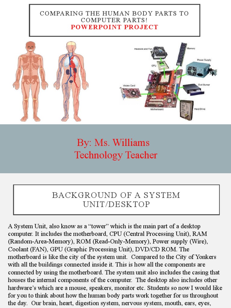 CIS Project - Computer Parts vs. Human Body Parts PowerPoint | PDF ...