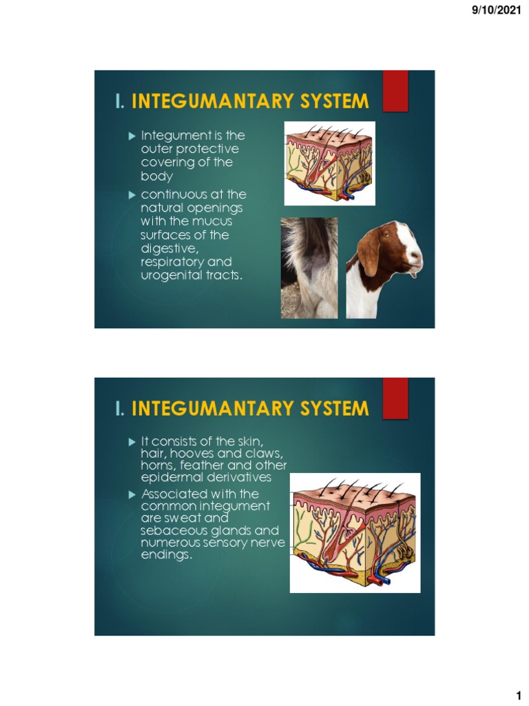 Module 2. Anatomy and Physiology (Integumentary, Skeletal, Muscular ...