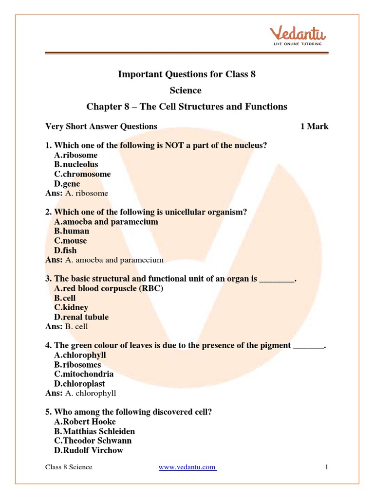 Class 8 Science: Cell Structures & Functions | PDF | Cell (Biology) | Cell Nucleus