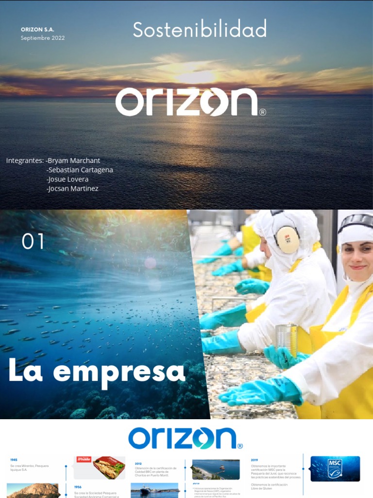 Sostenibilidad en ORIZON S.A. | PDF | Sustentabilidad | Economias