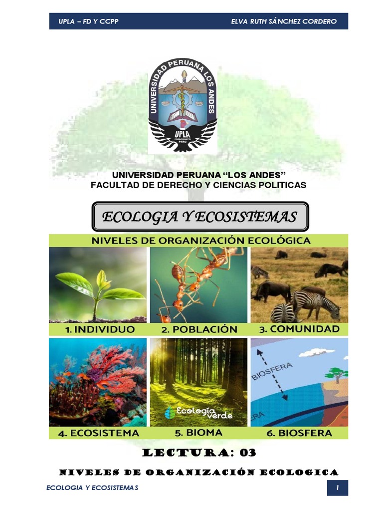 Niveles de organización ecológica | PDF | Ecología | Ecosistema