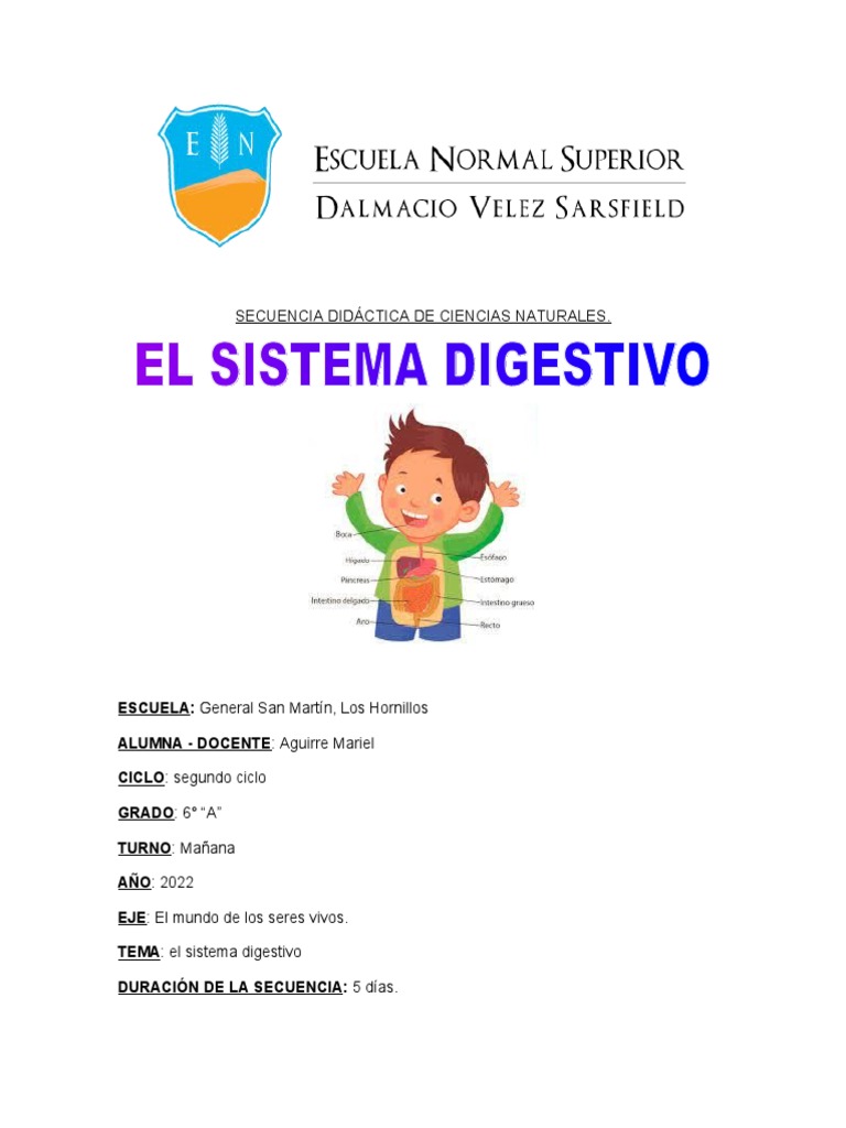 Secuencia Didactica de Ciencias Naturales | PDF | Sistema digestivo humano