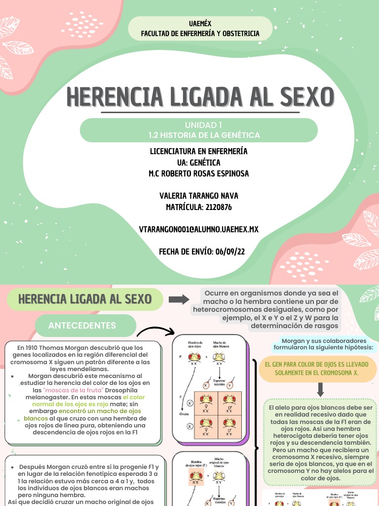 Herencia Ligada al Sexo en Humanos | PDF | Sexo | Dominancia (Genética)