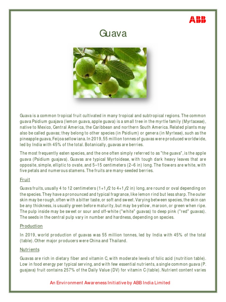 Guava | PDF | Fruit | Nutrition