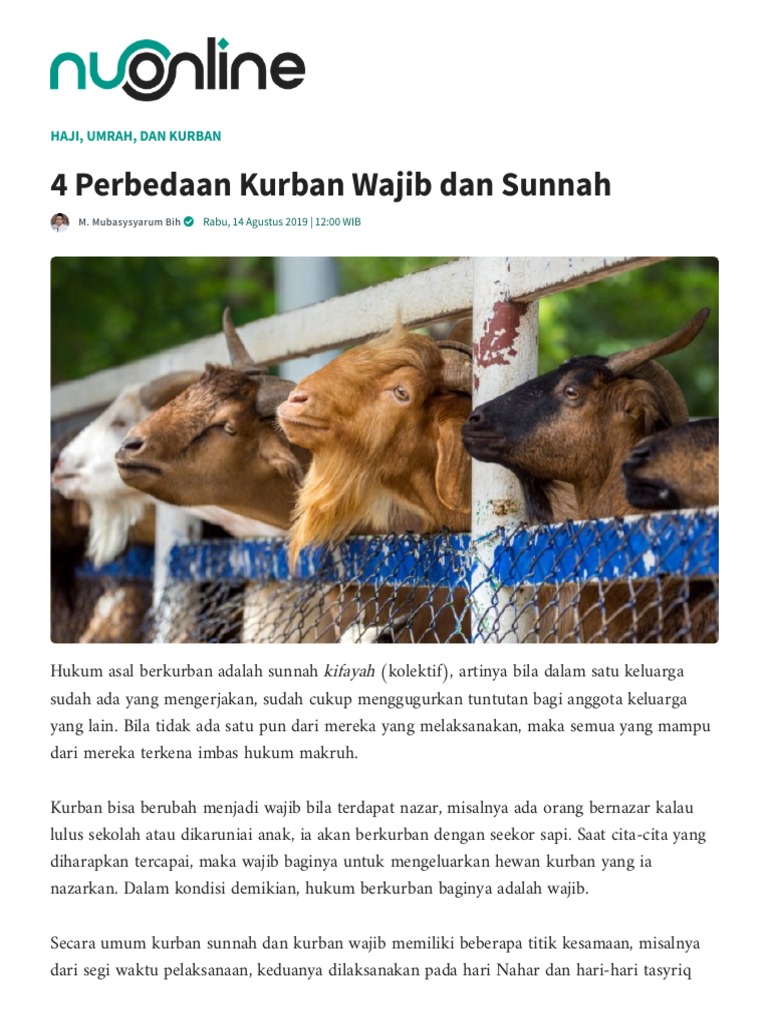 4 Perbedaan Kurban Wajib Dan Sunnah - NU Online | PDF