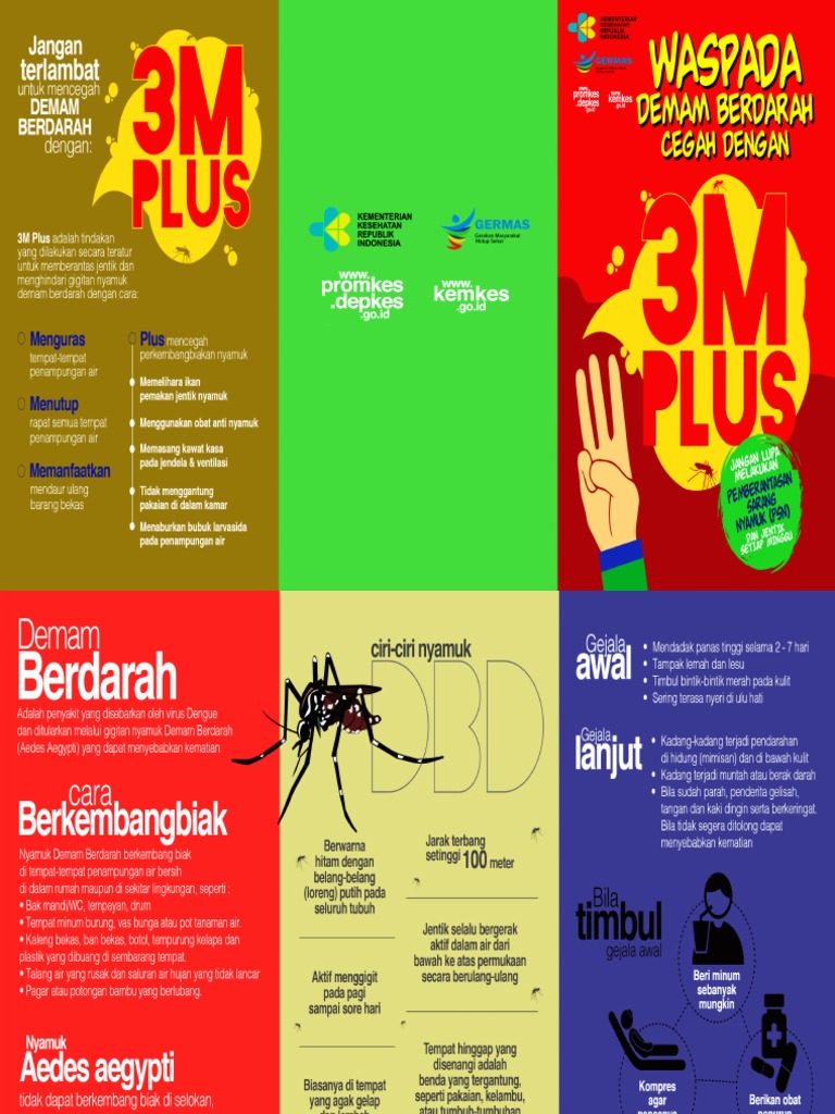 Leaflet DBD 3m A4 Full | PDF