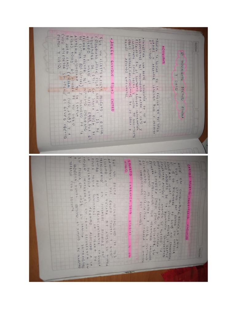 Nicole Dayana Salinas 802 | PDF