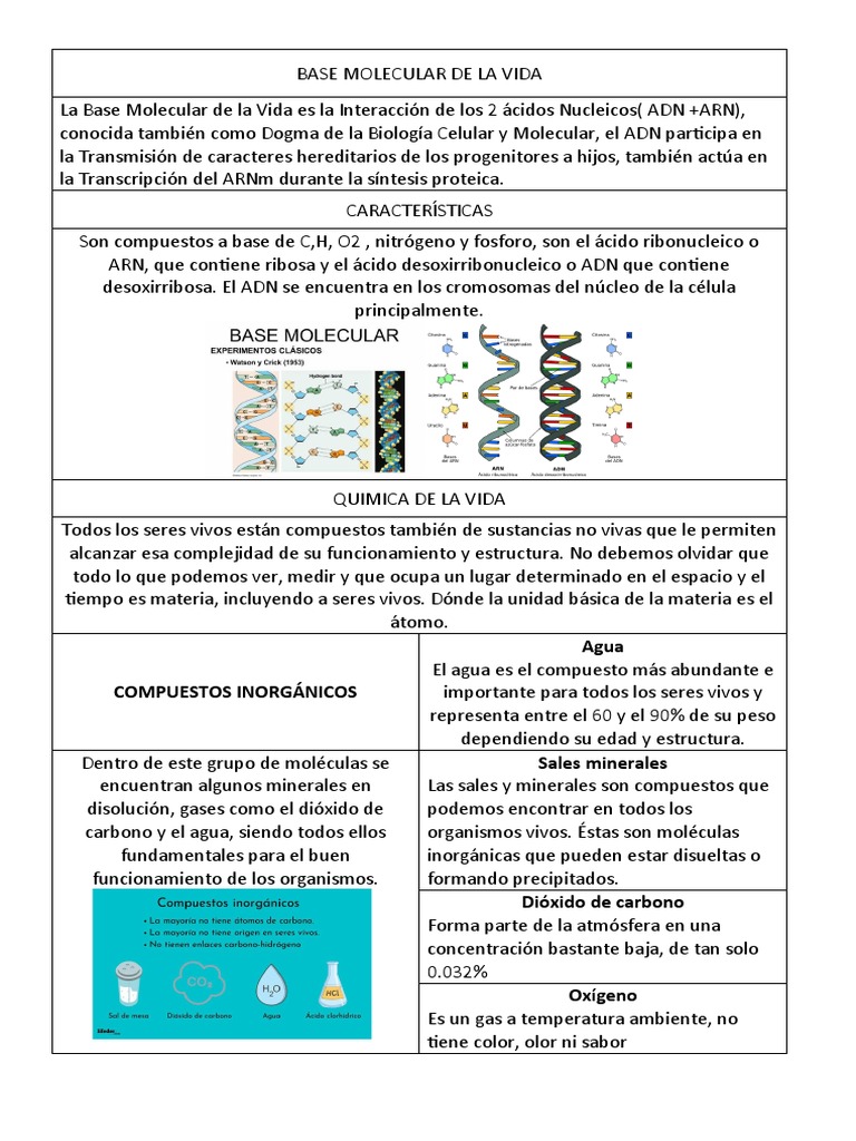Base Molecular de La Vida | PDF | Organismos | Adn