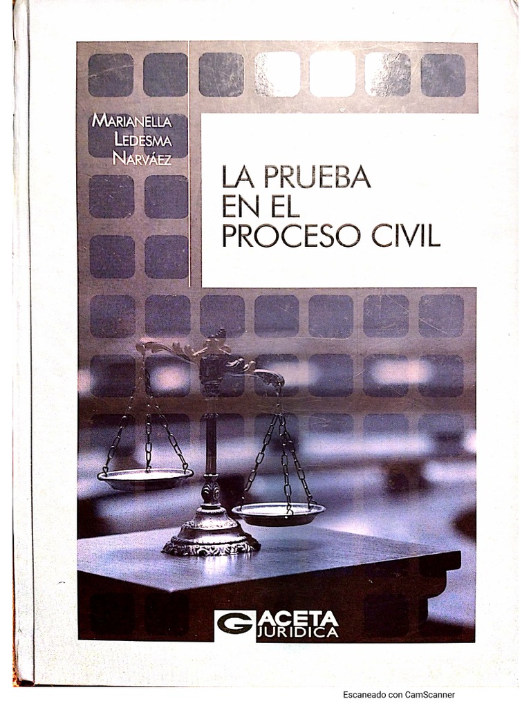La Prueba en Proceso Civil | PDF