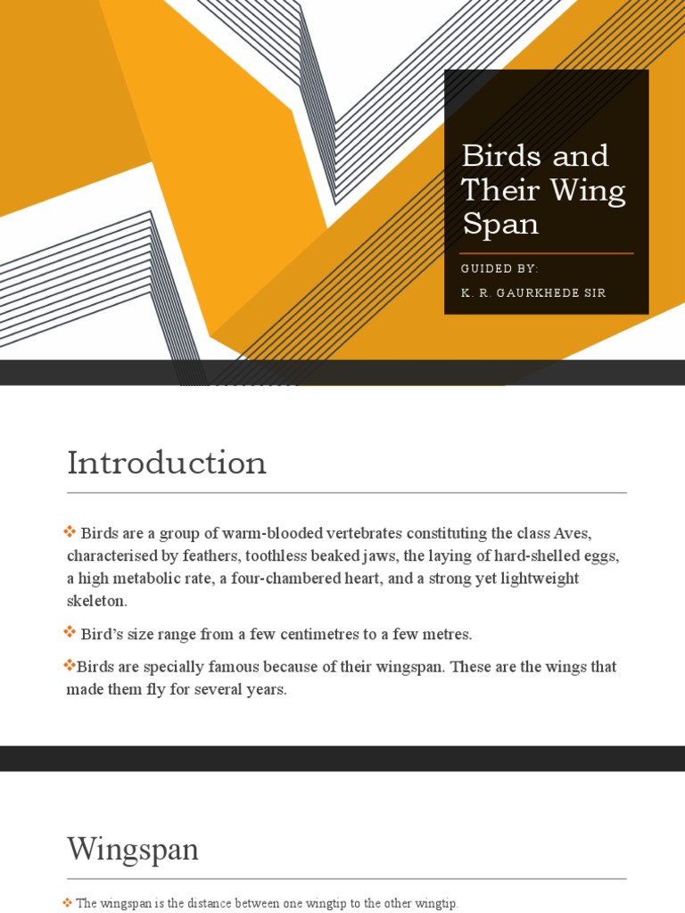 Birds and Their Wing Span | PDF