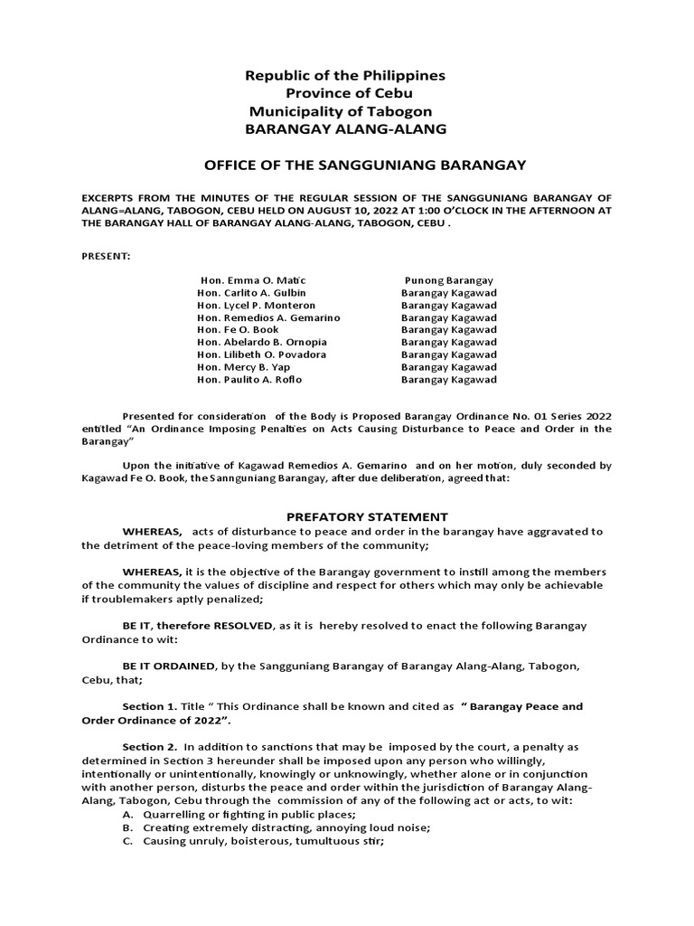 Barangay Peace and Order Ordinance 2022 | PDF | Public Sphere | Common Law