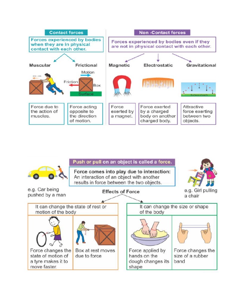 Forces 8th Grade | PDF