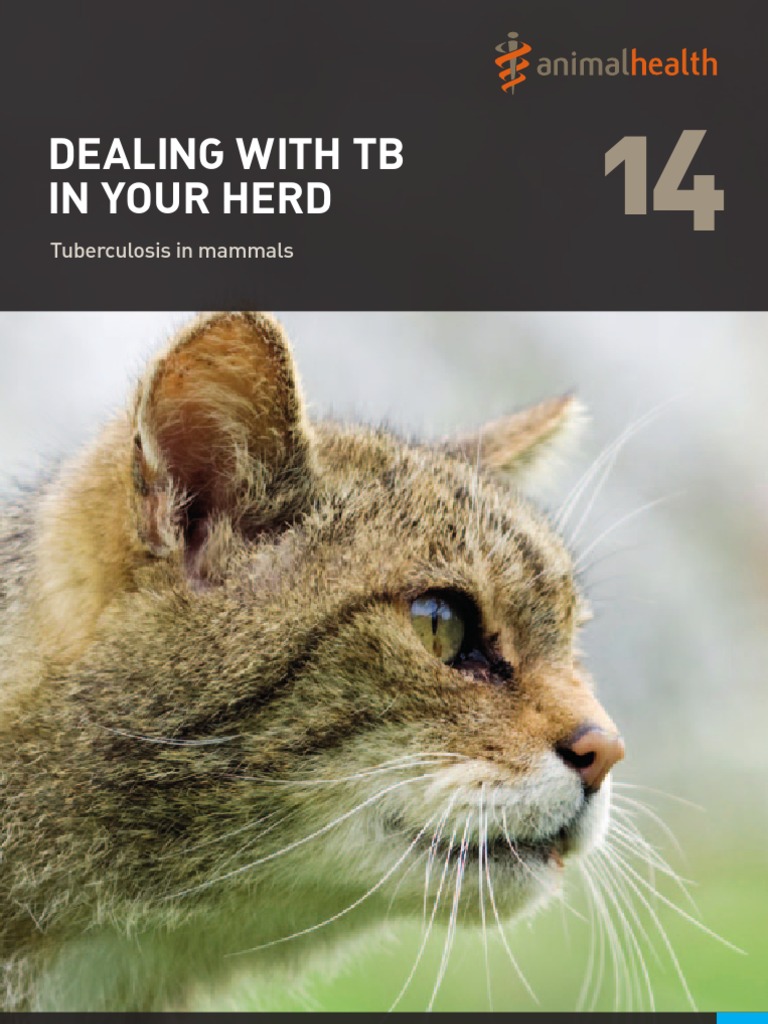 14 Tuberculosis in Mammals | PDF | Tuberculosis | Cattle