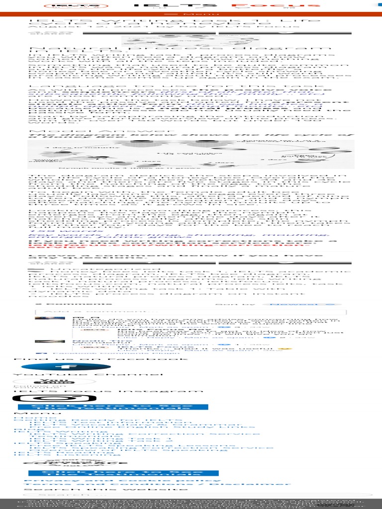 IELTS Writing Task 1 Natural Process Diagram, Honey Bees | PDF
