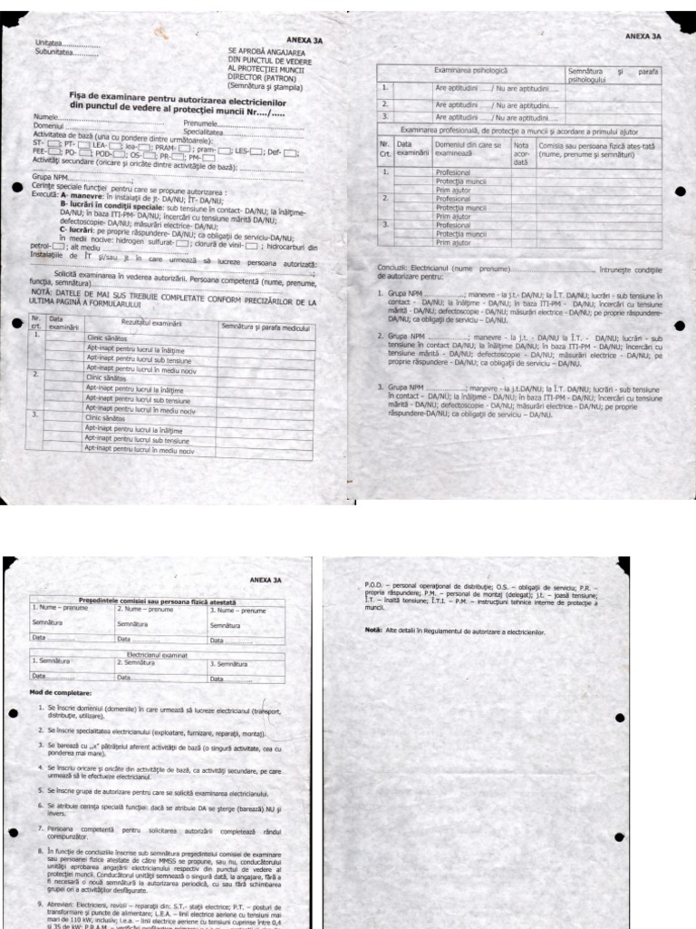 Fisa Si Talon Autorizare Electricieni | PDF