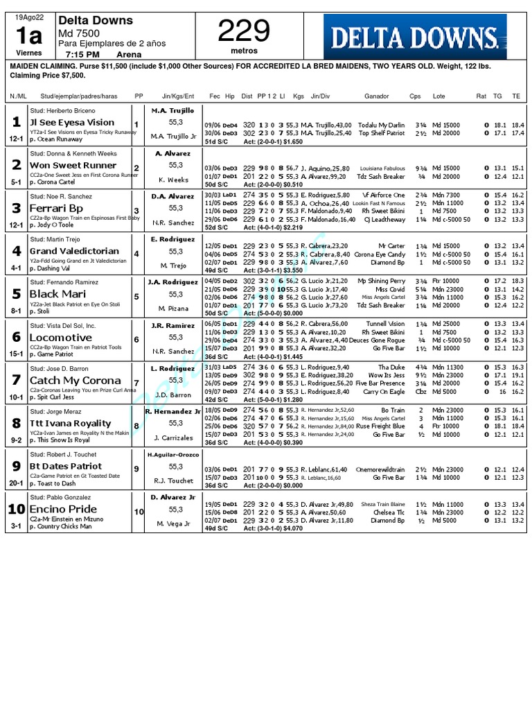 1 - Delta Downs Retrospectos | PDF