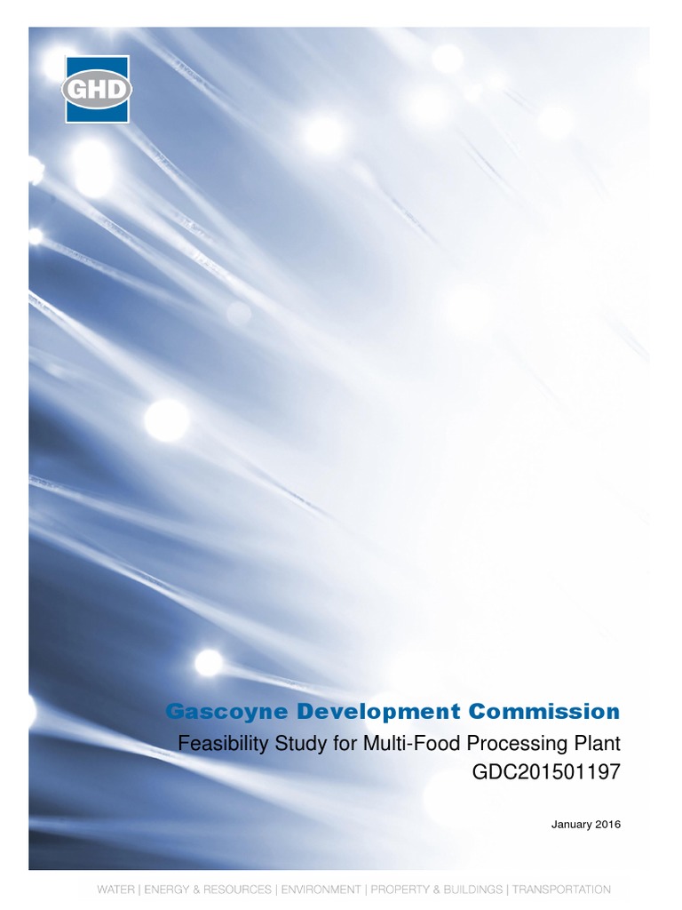 Feasibility Study For Multi Food Processing Plant | PDF | Foods | Net ...