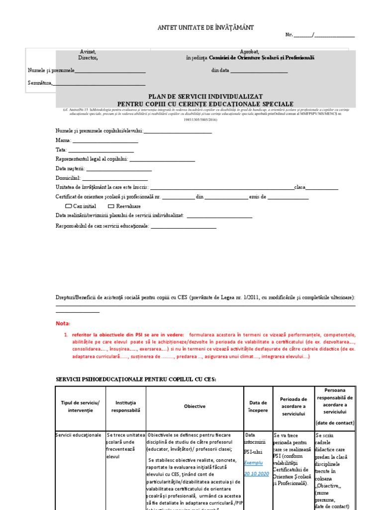 PSI (Plan de Servicii Individualizat) - Ghid de Completare | PDF