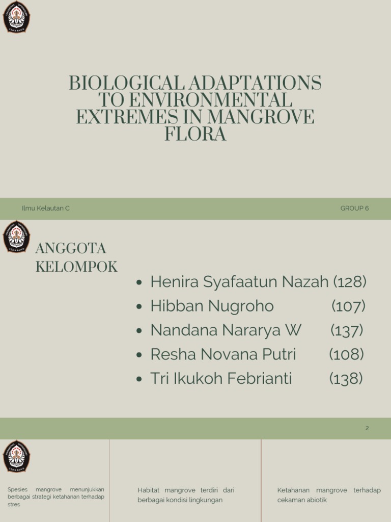 Biological Adaptations To Environmental Extremes in Mangrove Flora | PDF