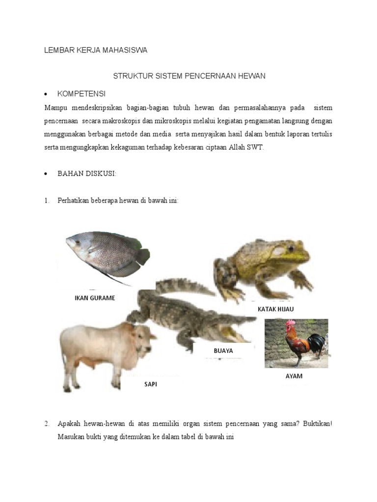 LKM-4 - Struktur Sistem Pencernaan | PDF