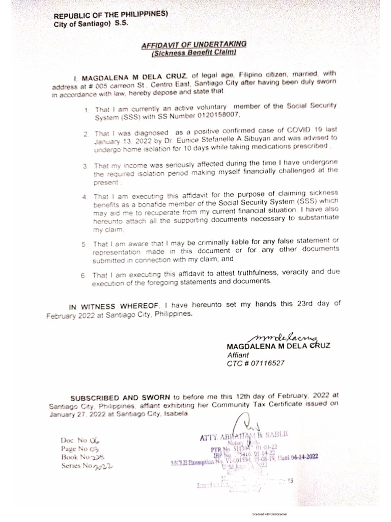 Affidavit of Undertaking | PDF