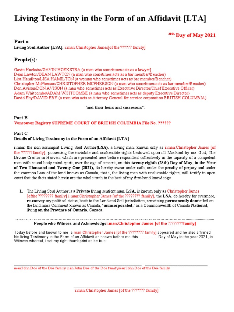 Living Testimony Template | PDF | Affidavit | Notary Public