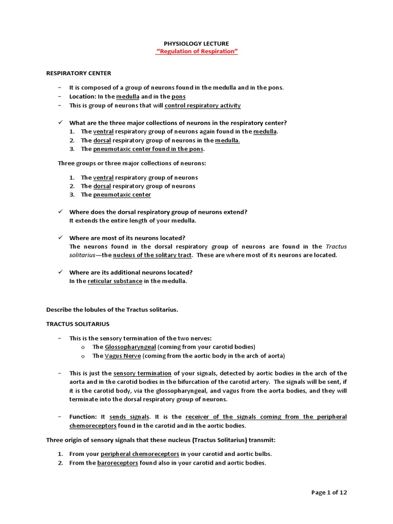 Regulation of Respiratory Center Functions | PDF