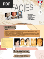 Tipos de Fascies Clínicas | PDF