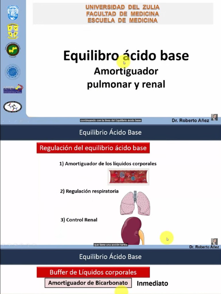 Equilibrio Ácido - Base | PDF