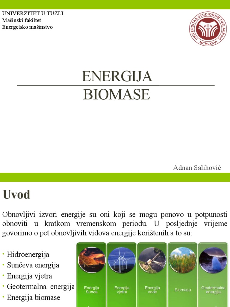 Energija Biomase111 | PDF