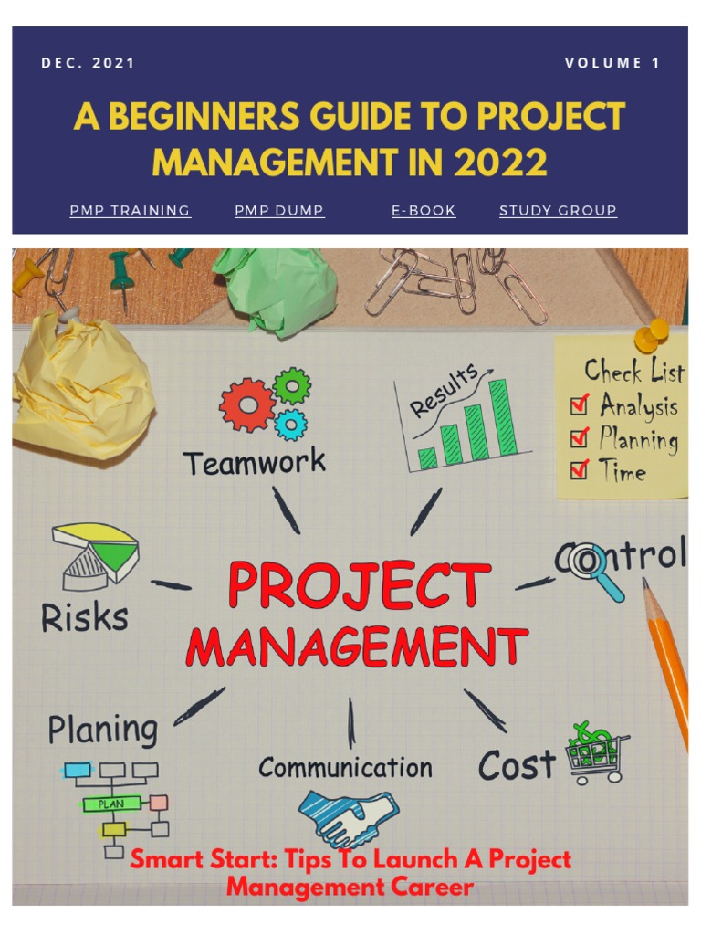 Project Management | PDF